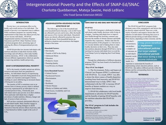 The first 1000 days | PPT