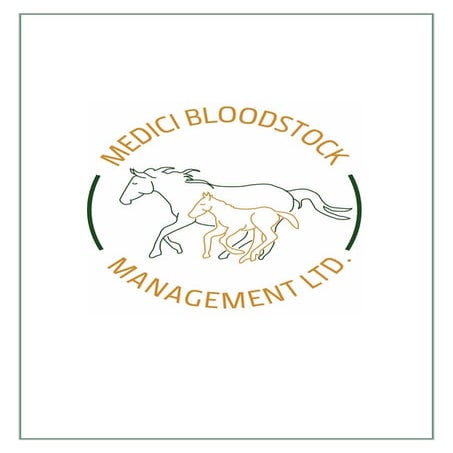 Medici bloodstock ltd (1).pdf n | PDF