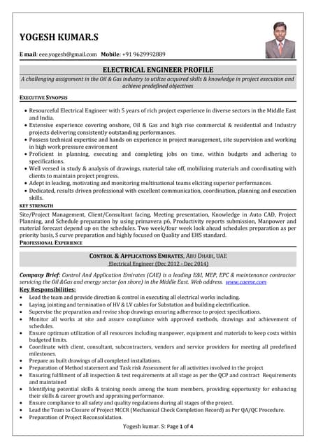 ELV Project Manager CV | PDF