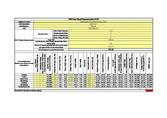 Example-PSO SUMMARY REPORT | DOCX