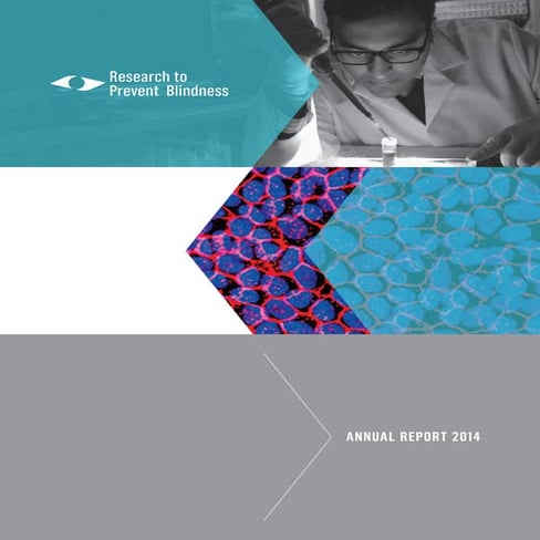 RPB 2014 annual report | PDF