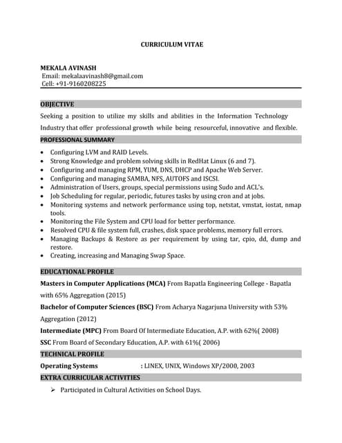 Curriculum vitae | DOCX | Technology & Computing