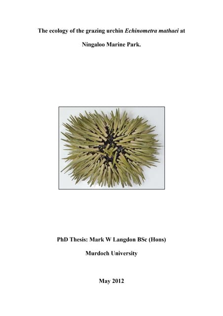 Sea urchin | PPT | Geography | Science