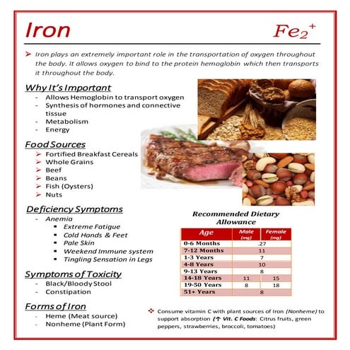 Iron 1 | DOCX | Blood Disorders | Diseases and Conditions