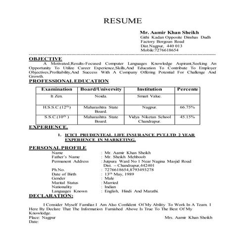 Aamir Khan Resume | DOCX