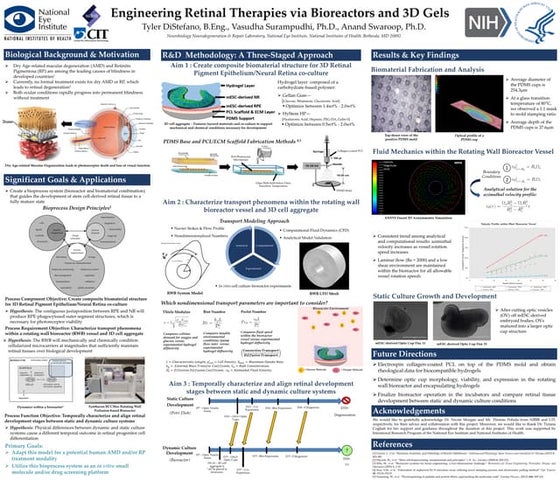 Final_Poster_Presentation_TD | PPT