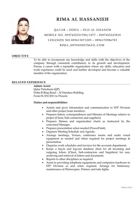 CV-Eng. Mohamed Badrawy | PDF