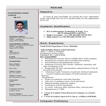 PS_RESUME_(1) | PDF