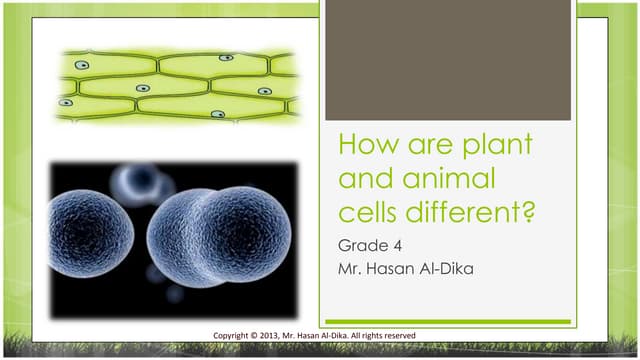 Plant and Animal Cells | PPTX