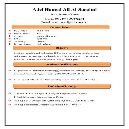adel hamed CV | DOC