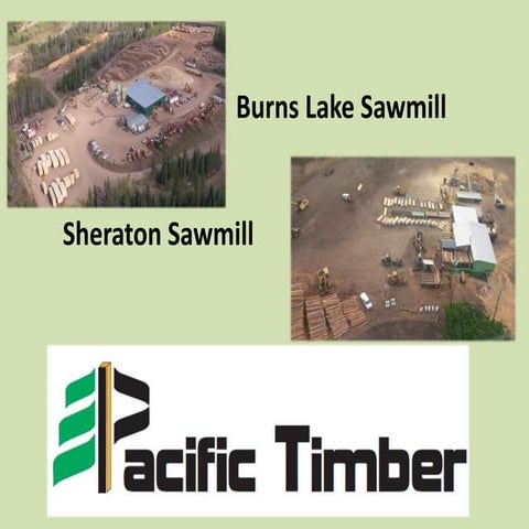 Pacific Timber Presentation | PPTX
