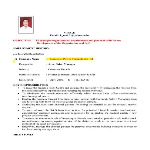 Nilesh Resume 1[1] | PDF