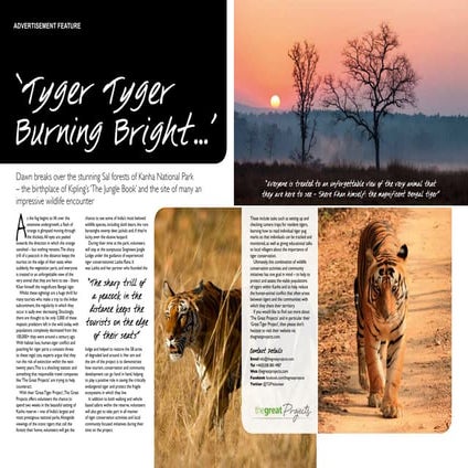BBC Wildlife Advertorial | PPT