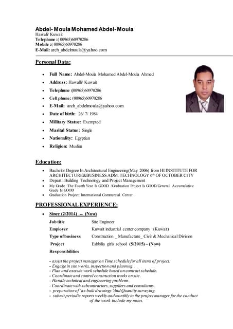english CV | PDF