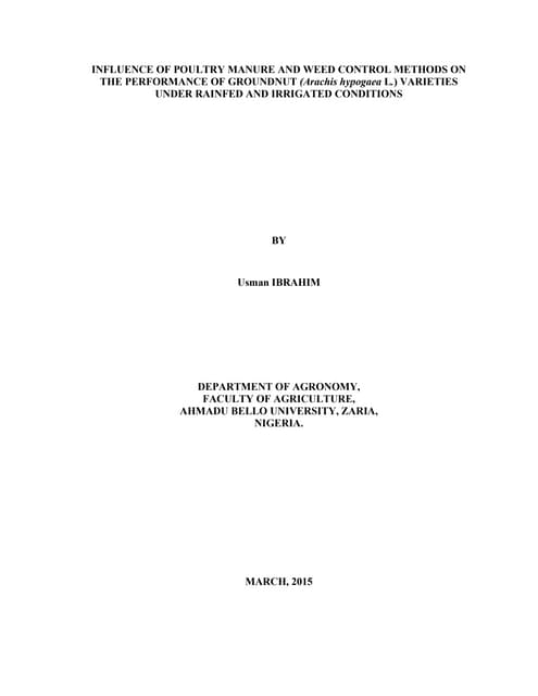 Research Paper: The Preliminary Stages | PPT