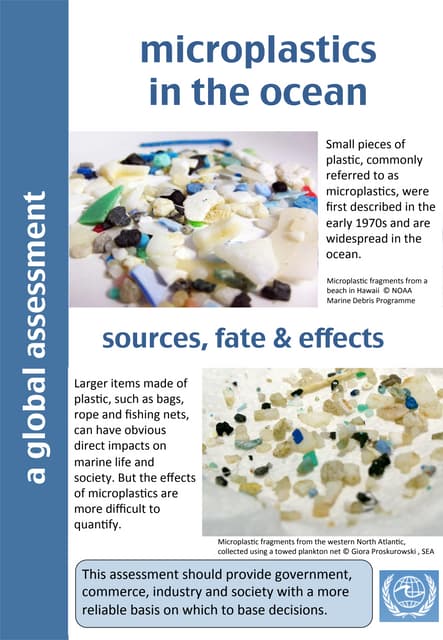 Microplastic Pollution (1).pptx3232323233323 | PPTX | Environment | Science