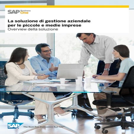 SAP_B1_Brochure_Completa | PDF | Computer Software and Applications | Computing