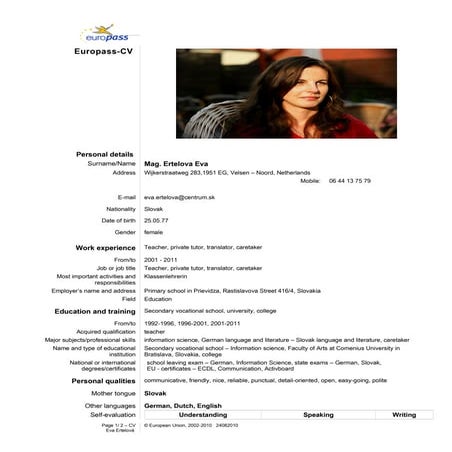 CV English | PDF