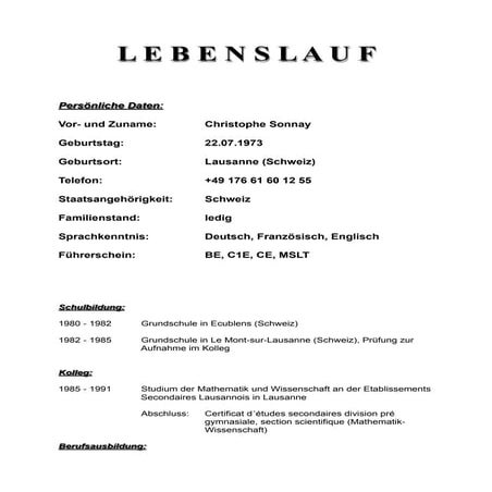 CV Peter Elzinga | PDF