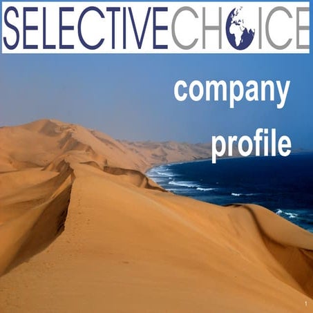 S.C. Company Profile 2015 english | PDF