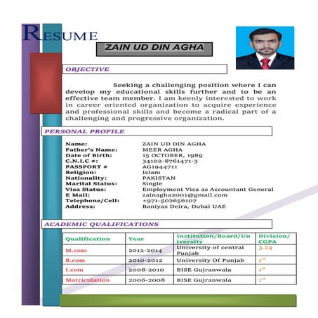 Resume UAE ZZ | PDF