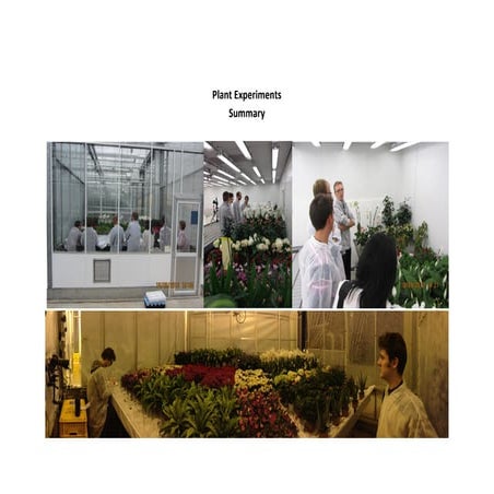 Plant Experiments | PDF