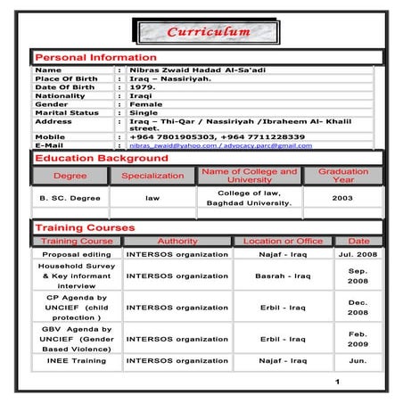 Nibras Zwaid CV2 | PDF