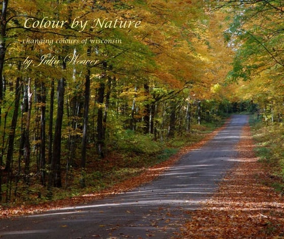 AnnaPhilippova-reference | PDF