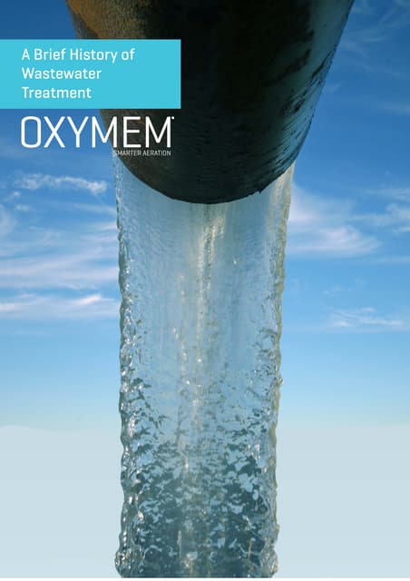 Oxygenators | PPTX | Lung and Respiratory Health | Diseases and Conditions