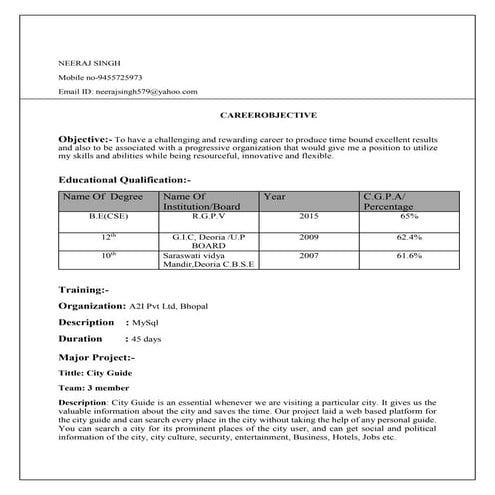 neeraj resume new | PDF
