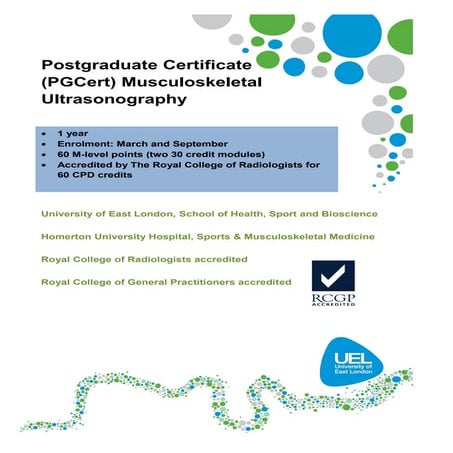 Postgraduate Certificate Musculoskeletal Ultrasound - Programme Summary ...
