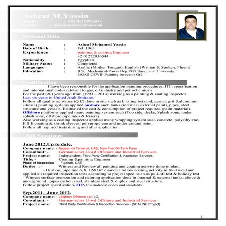 Ashraf-cv | DOC | Business | Business and Finance