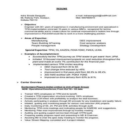 Experience Certificate-Opex | PDF