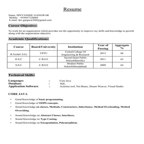 Resume Dev | PDF