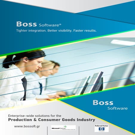 Bossoft_web_EN | PDF | IT and Internet Support | Internet