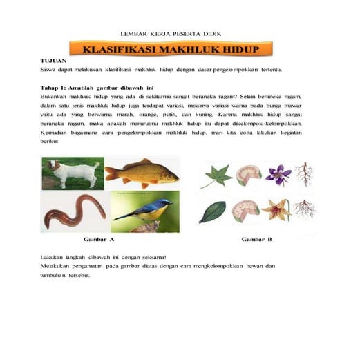 Aa. alhamdulillah jadi lks inquiry discovery (RINI) | PDF