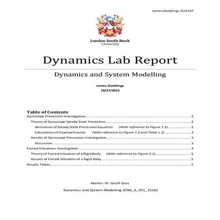 Gyro and Vibro Lab Report | DOCX