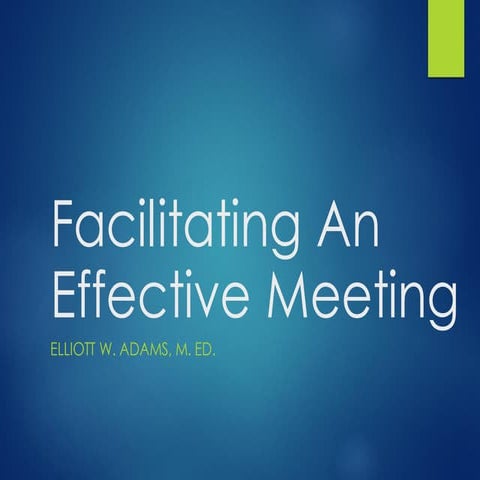 Facilitating an Effective Meeting.PDF