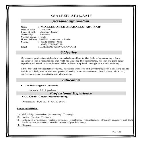 cv waleed | PDF