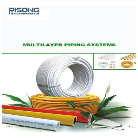 risong brochure | PDF
