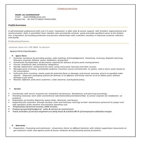 Tech SalesSupport Resume | DOCX