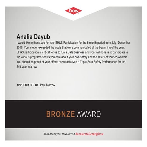 Bronze award_ecertificate | PDF