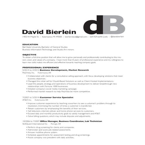 David Palesky Customer Service sales resume | DOC