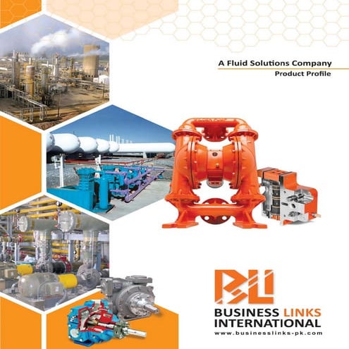 BLI New Pump Profile | PDF