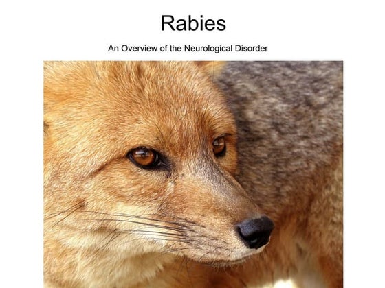Rabies prevention and control | PPTX