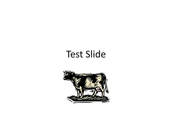 Test slides | PPT