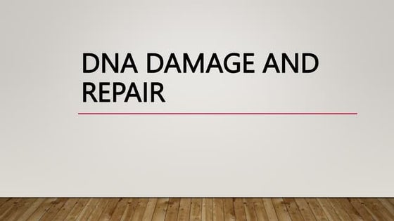 DNA Damage and repair mechanism | PPT