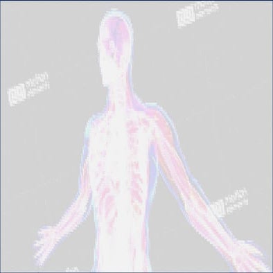 Aaa anatomy and physiology | PPTX