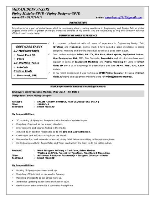Ansari Merajuddin Pdf