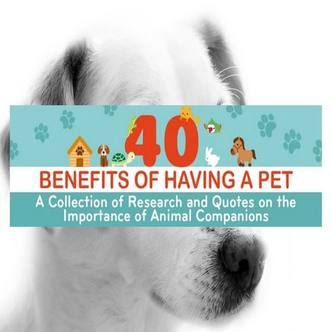 40 Benefits of Having a Pet | ODP